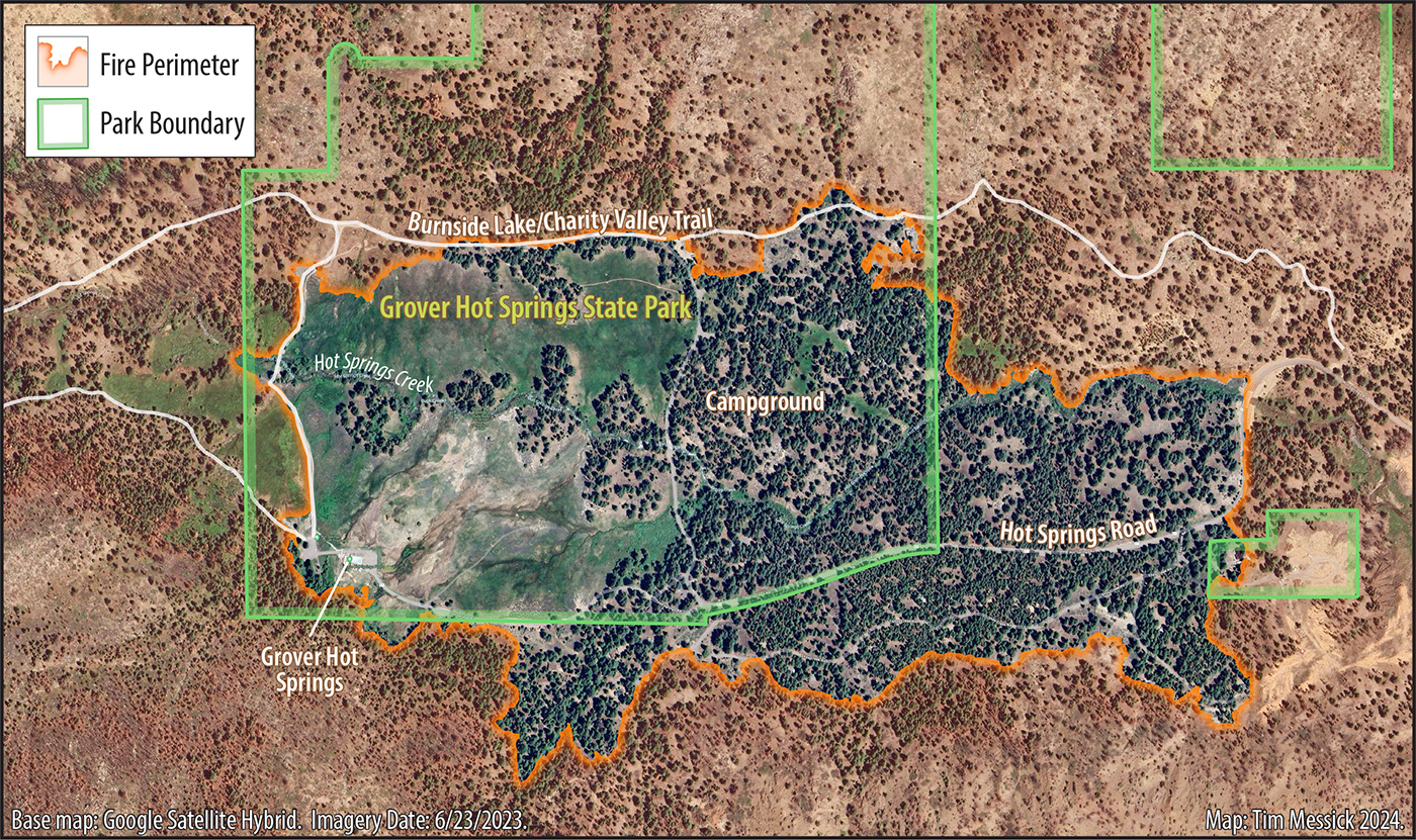 Plants of the Bodie Hills | Botany and Natural History in the Bodie ...