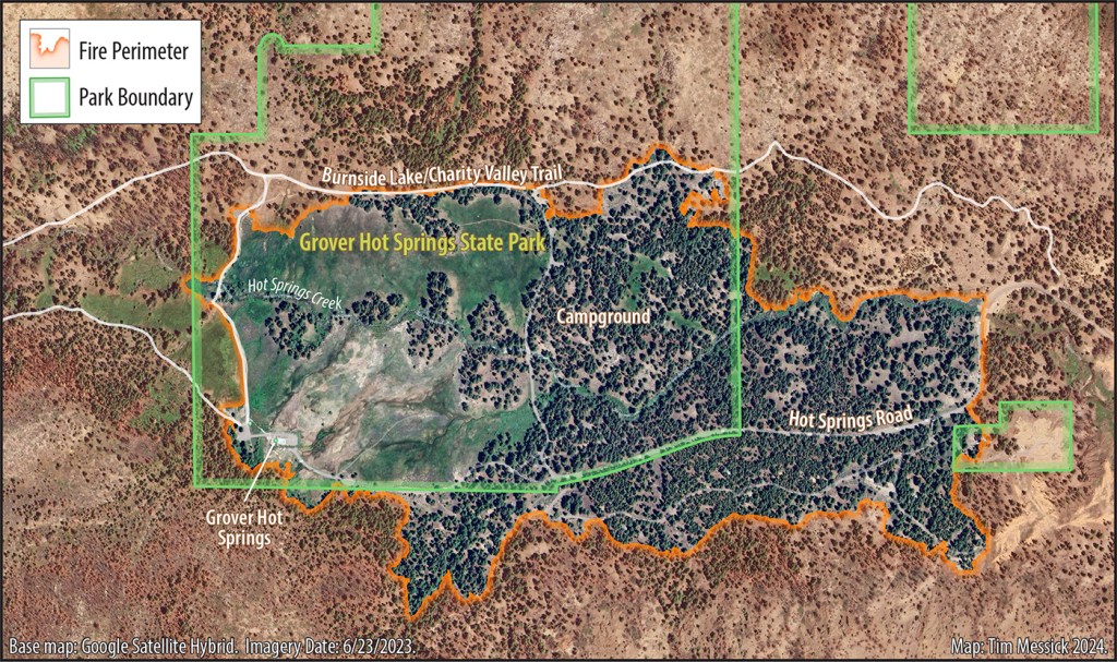 Plants of Hot Springs Valley (2024 Update) | Plants of the Bodie Hills