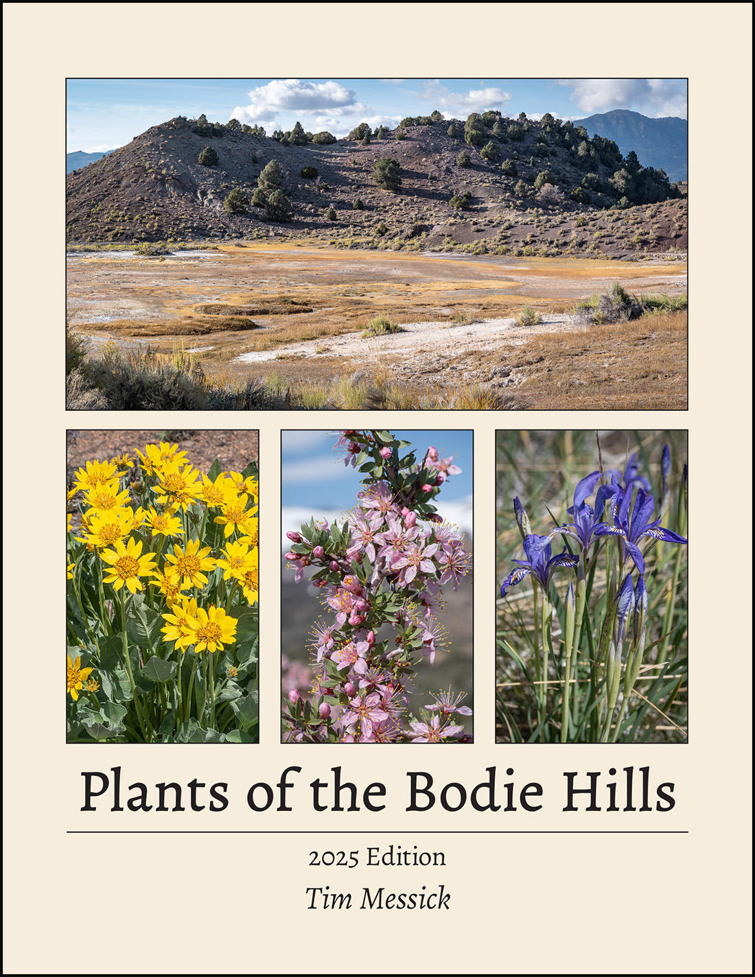 Plants of the Bodie Hills, 2025 Edition | Plants of the Bodie Hills